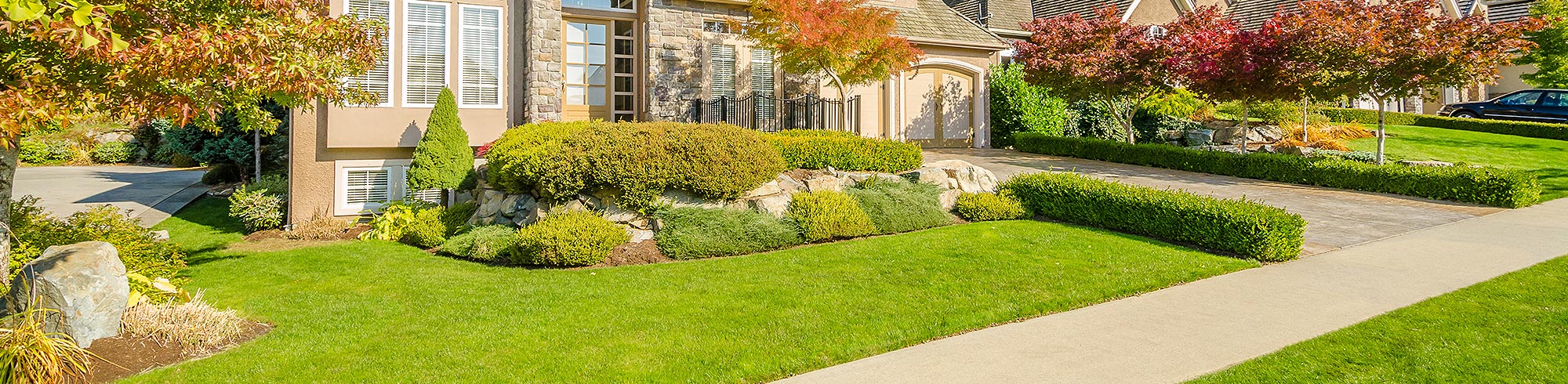 Winter Tree Protection | Wrapping Trees in Burlap for Winter