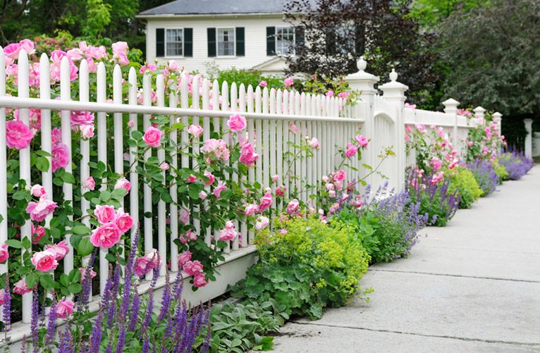 Gardening Is Good For You | Greenbloom