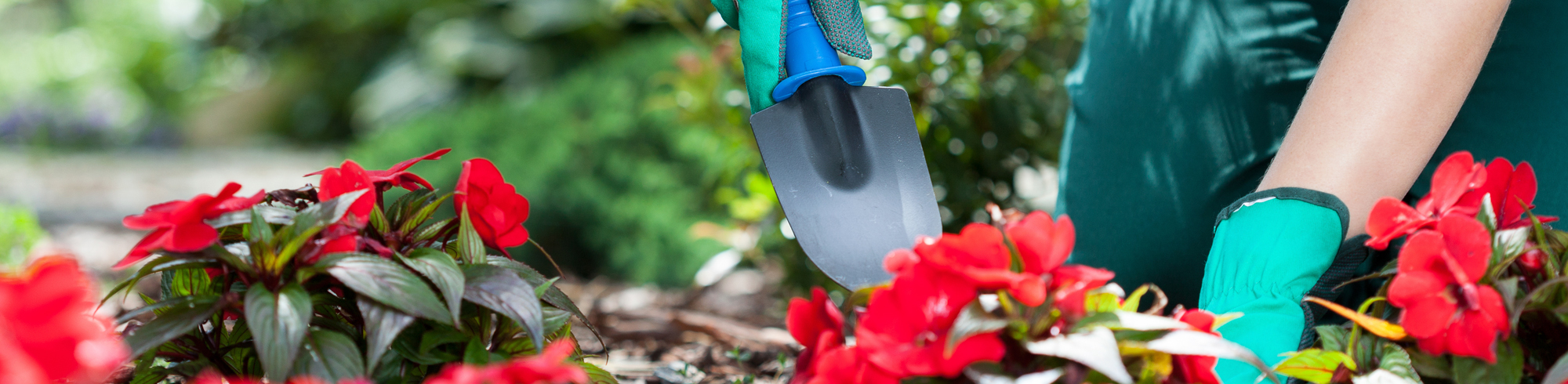 Landscape Foreman - Greenbloom Maintenance