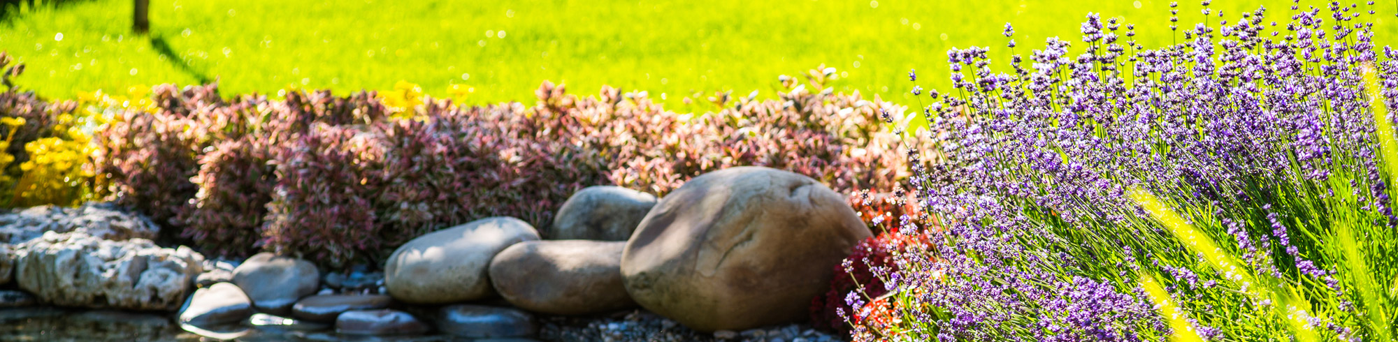 Useful Plant Terminology | Greenbloom