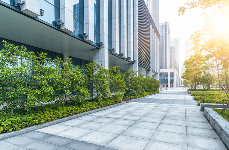 How Professional Landscape Designs Can Benefit Your Business